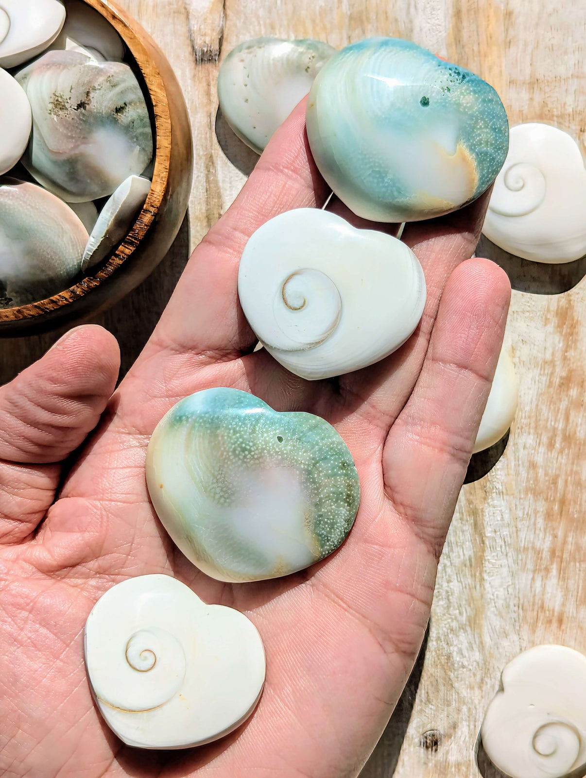 Shiva Eye Shell Heart – Aurora Stones